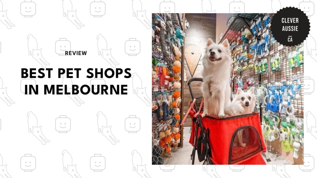 5 best pet shops in Melbourne every pet owner should know